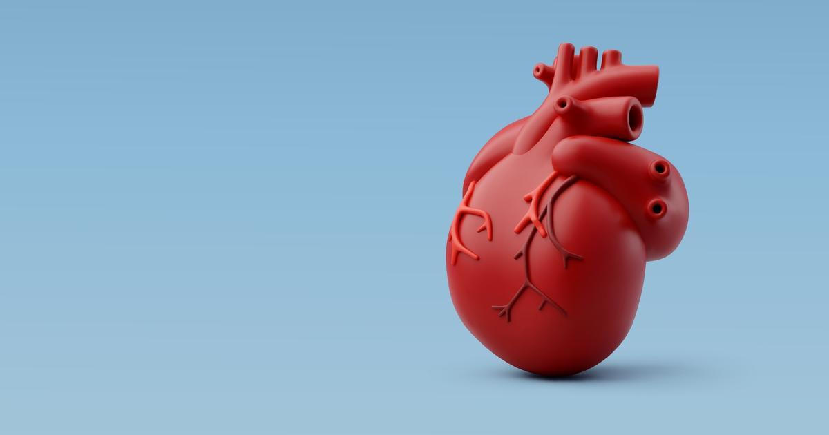 Tři nejčastější mýty o zdraví srdce – Žena.cz