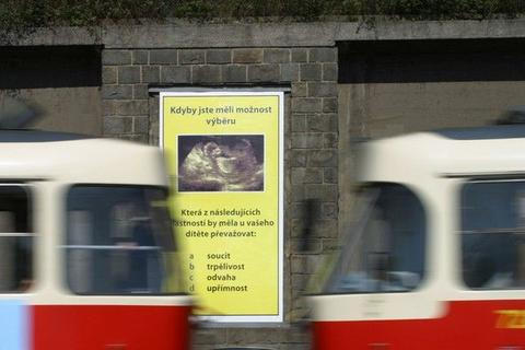 Výtvarné umění – Aktuálně.cz