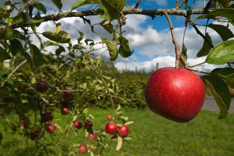 Kateřina Adamcová – Aktuálně.cz