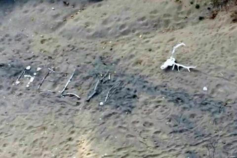 Trosečník | Aktuálně.cz