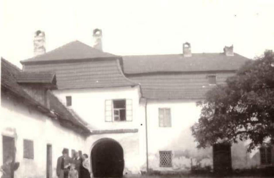 Tráva – Aktuálně.cz