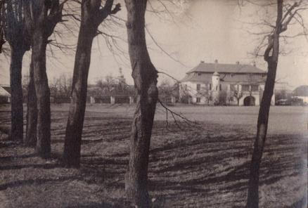 Tráva – Aktuálně.cz